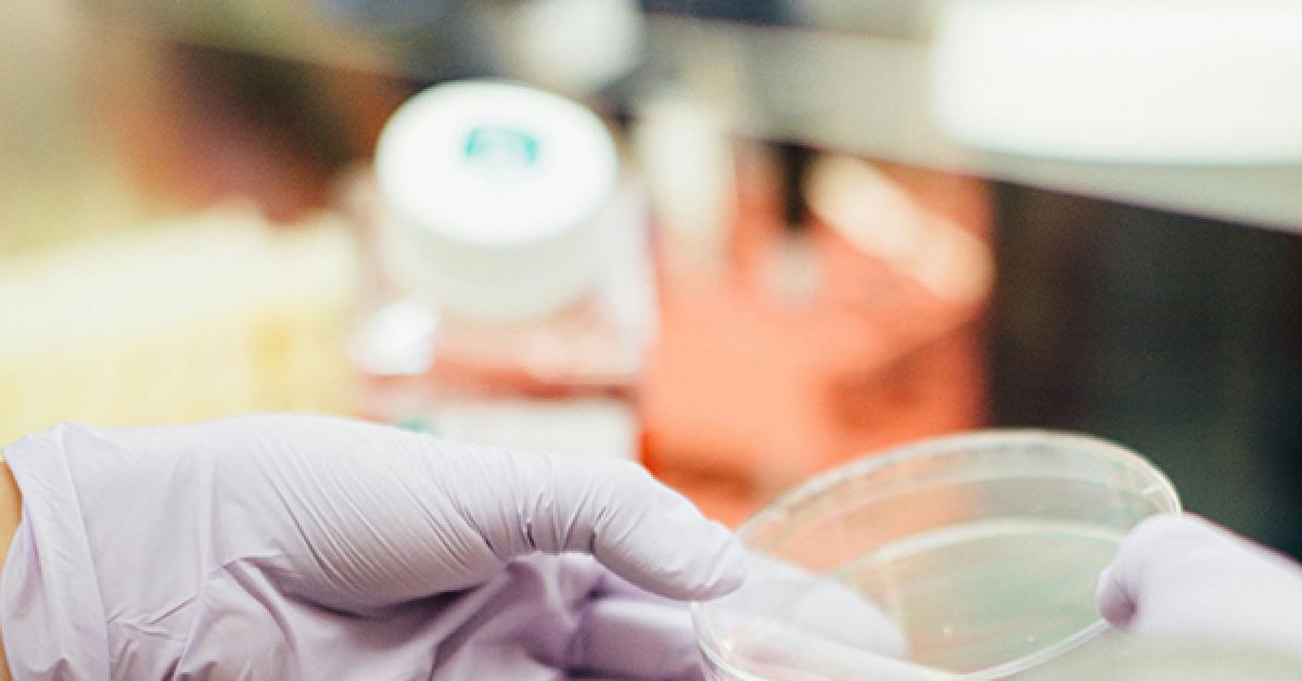 Open Access to Scholarly Research at Duke | Duke Department of ...